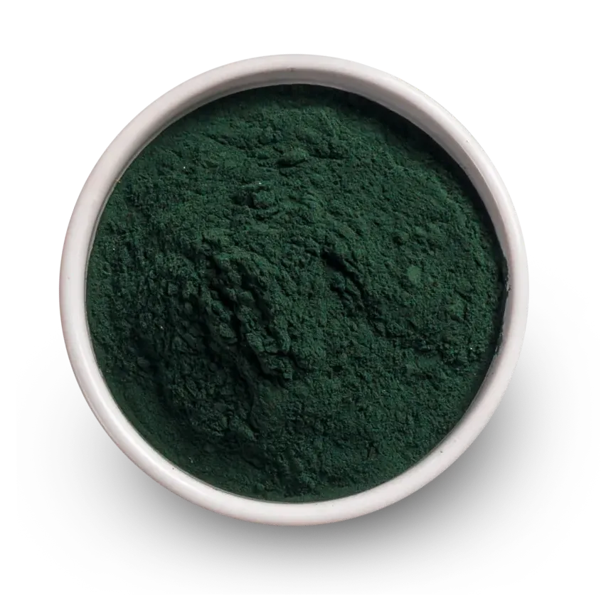 Bulk & Wholesale Organic Chlorella Powder